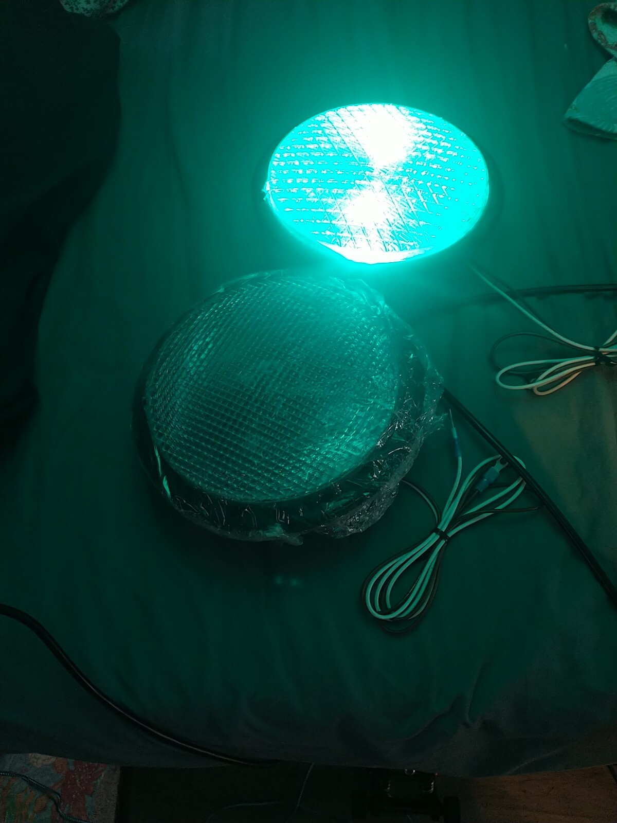 8 Inch LED's For Traffic Light Signal(Clear) Lenses | eBay