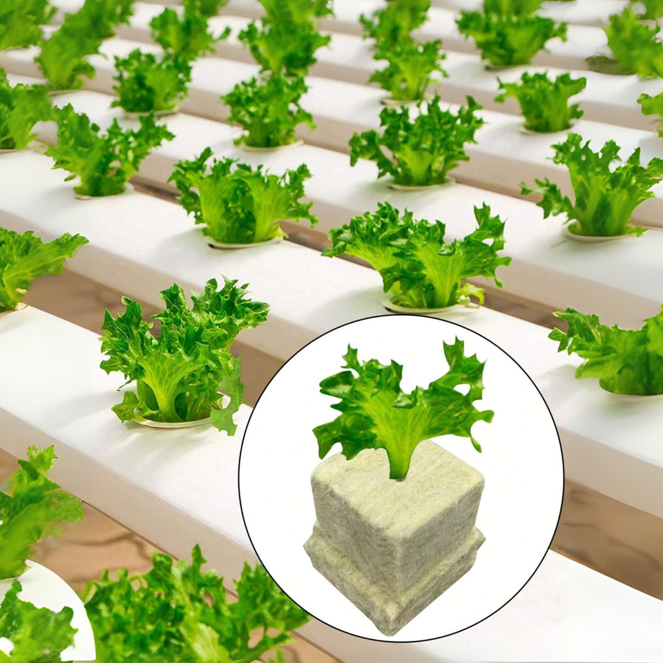 25/50pcs Rockwool Blocks for Hydroponic Cuttings – Soil Substitute Grow ...