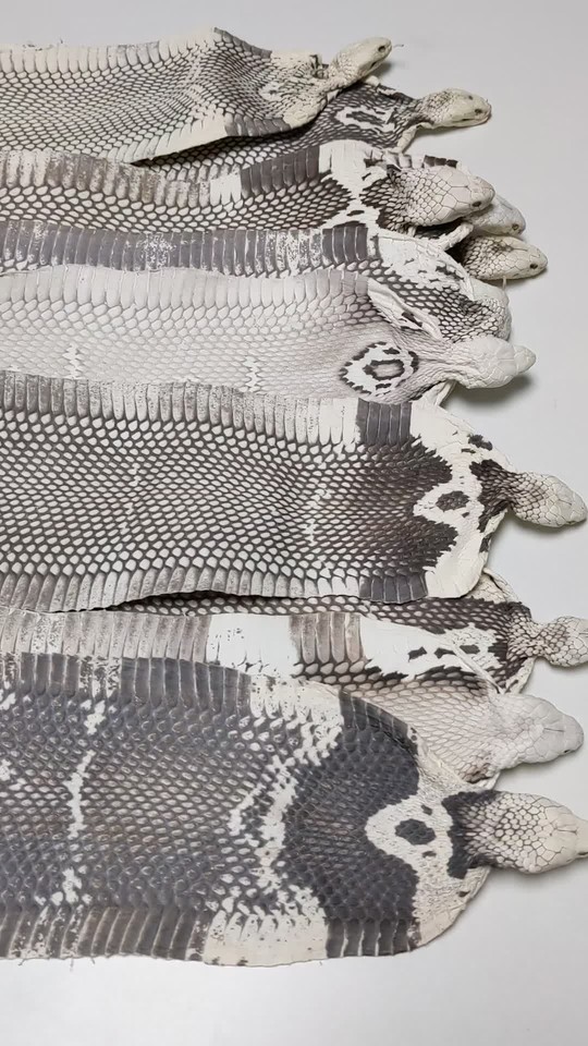 Unbreached Genuine Snake Skin Snakeskin Leather w/ Natural Head | eBay