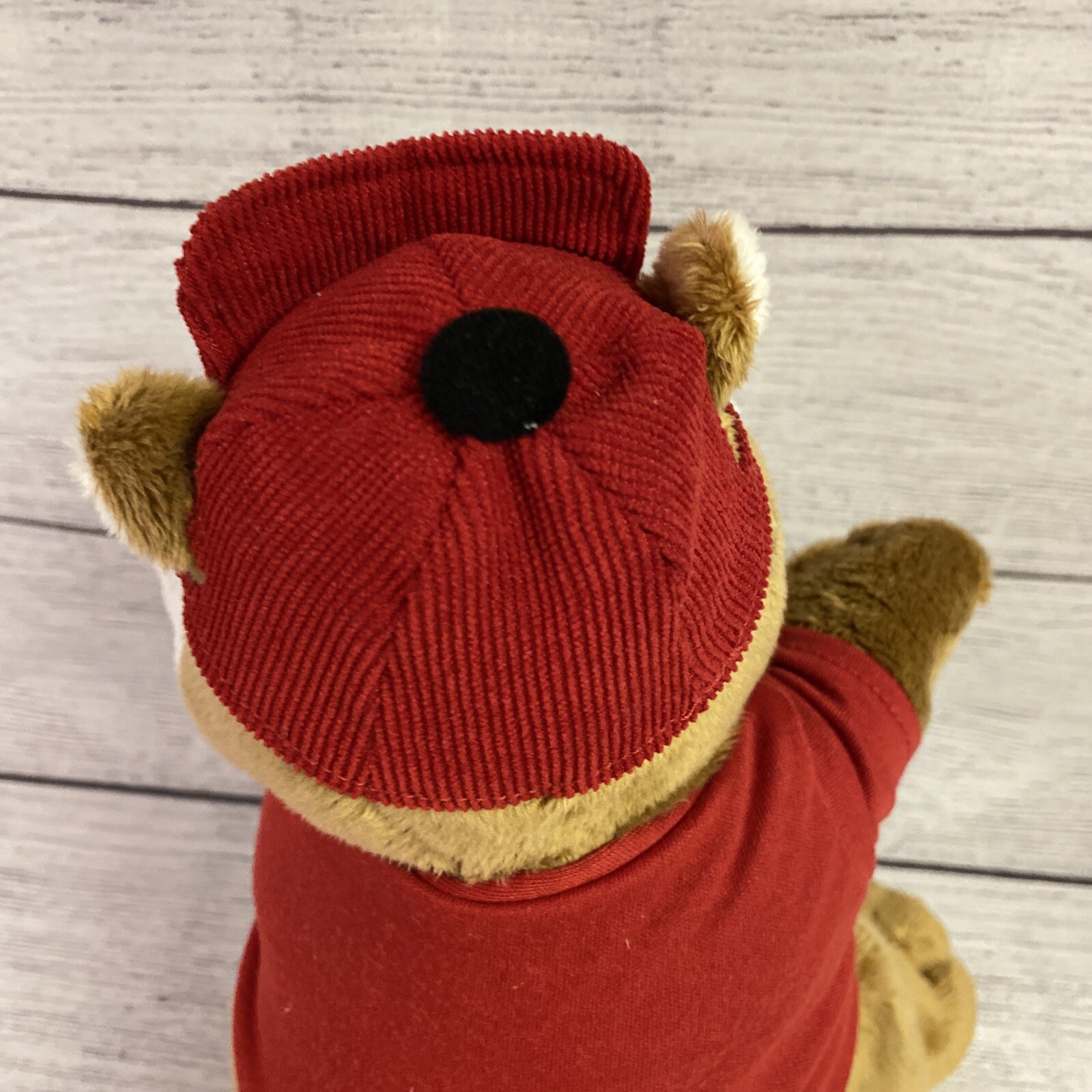 Buc-ees Plush Bucky The Beaver Stuffed Animal Doll 10 Inches EUC!! FREE ...