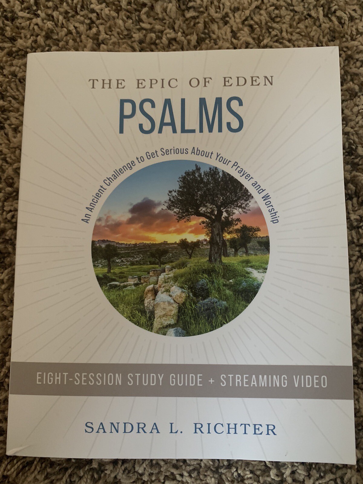 The Epic of Eden PSALMS Study Guide, by Sandra Richter (video not Included). | eBay