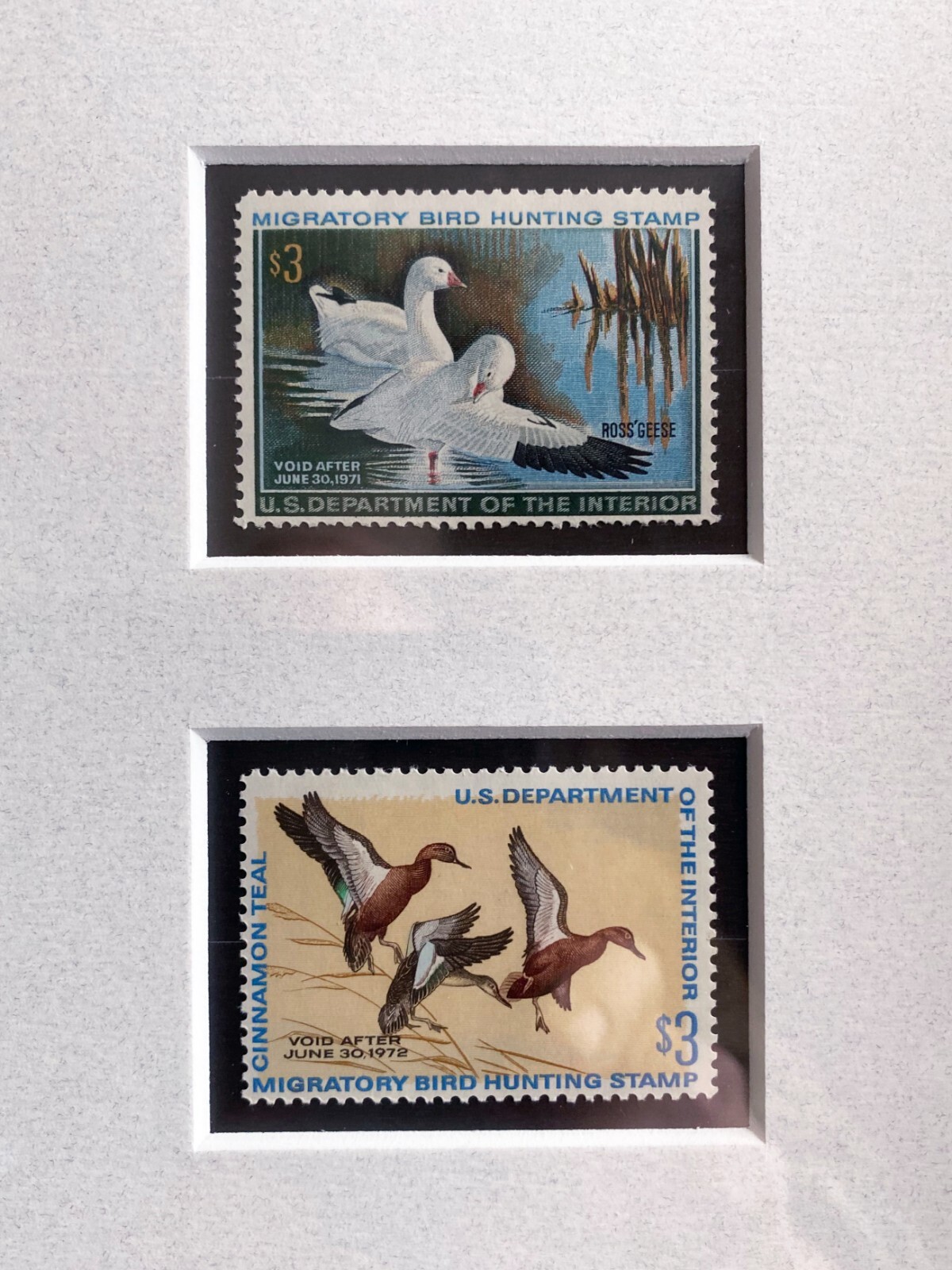 🔥 40 Federal Duck Stamps 1960-1999 Custom Framed by Decade w/ Brass ID ...