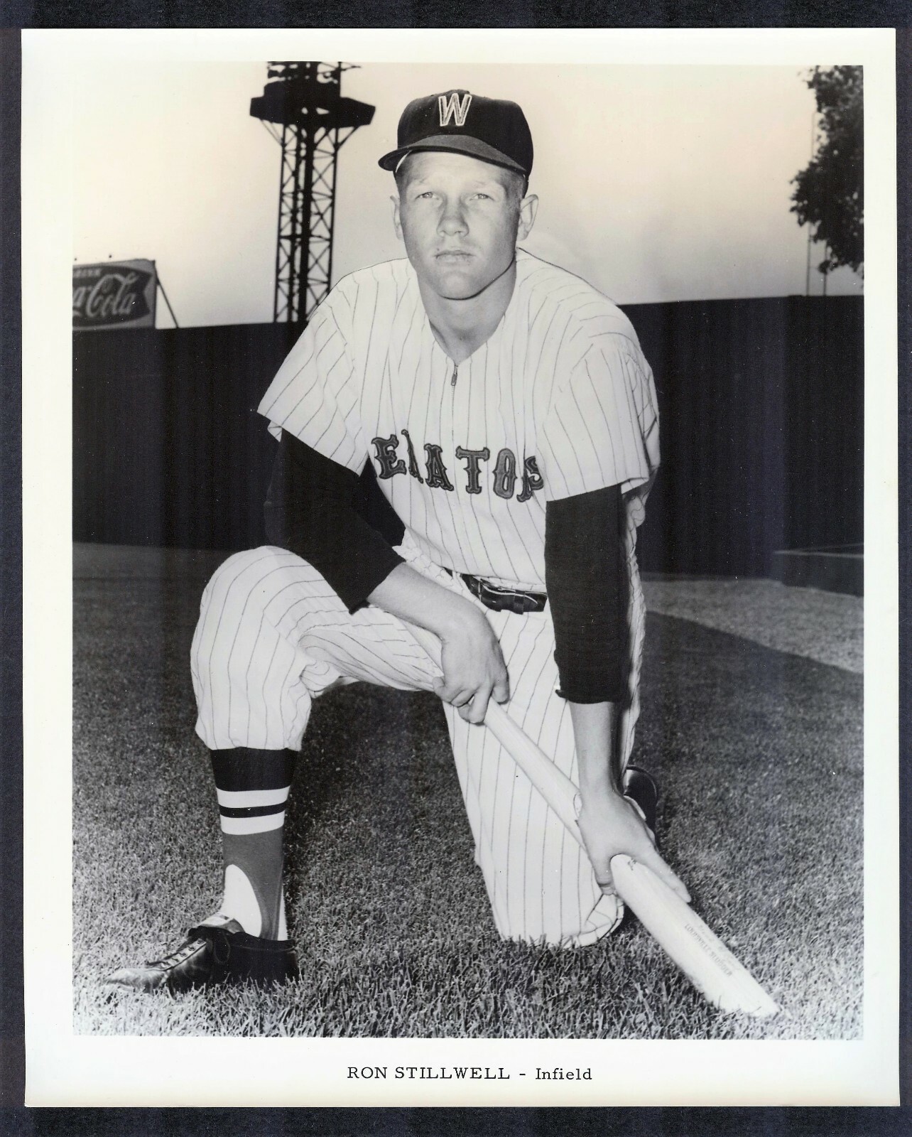 Ron Stillwell WASHINGTON SENATORS 1960s ORIGINAL TEAM ISSUE 8x10 PHOTO ...