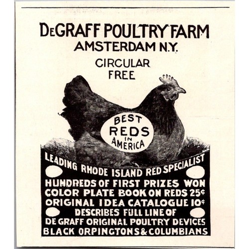 DeGraff Poultry Farm Best Reds in America Amsterdam NY 1908 Magazine Ad SAH1-M2 | eBay