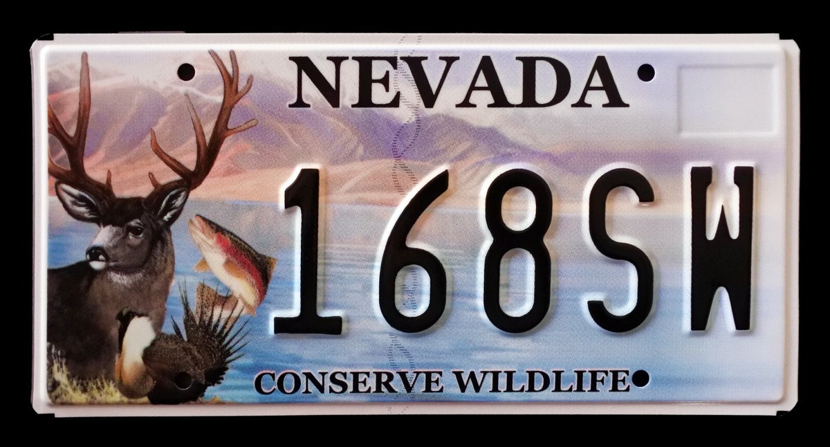 Personalized Plate Beabes Deer In The Front License Plate Cover, Tree ...