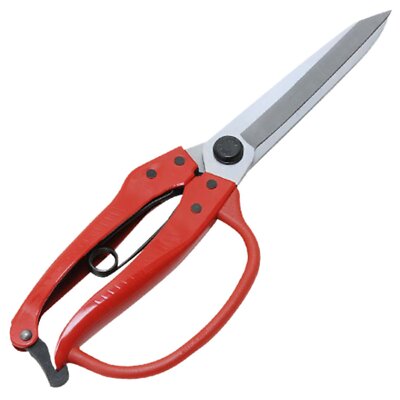 Trimming Scissors No.6 | eBay Australia
