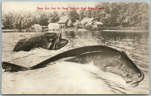EXAGGERATED FISHING 1919 ANTIQUE POSTCARD JUST AS GOOD FISH AS EVER ...