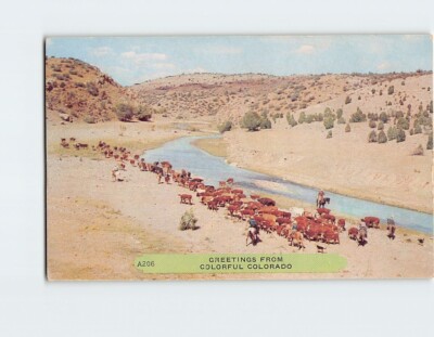 Postcard Greetings from Colorful Colorado USA | eBay UK