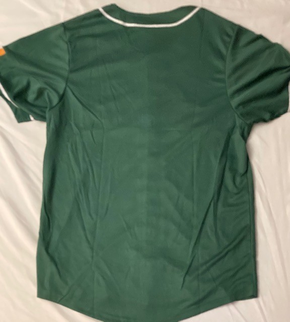 Boston Red Sox IRISH HERITAGE NIGHT Fenway Park 2023 Replica SGA Jersey ...