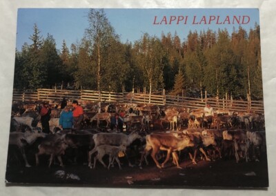 Lappi Lapland, Finland. Postcard (F3) | eBay