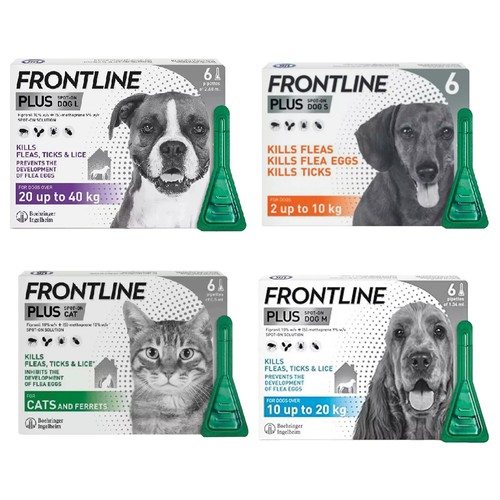 Front Plus Dogs And Cats 6 Doses 6 Months | eBay