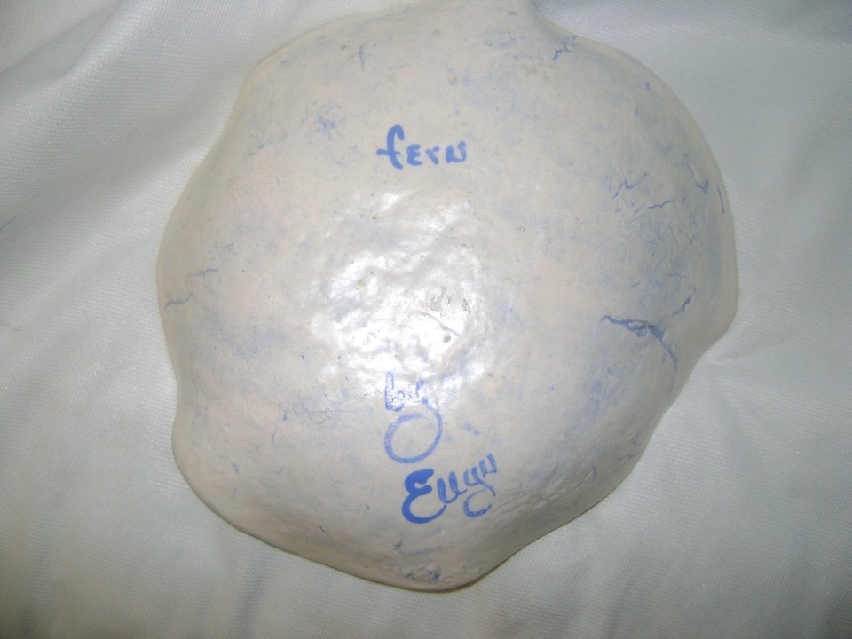 Hand Made Embossed Clay Glazed Catch All Bowl “Fern” By Artist Ellyn | eBay