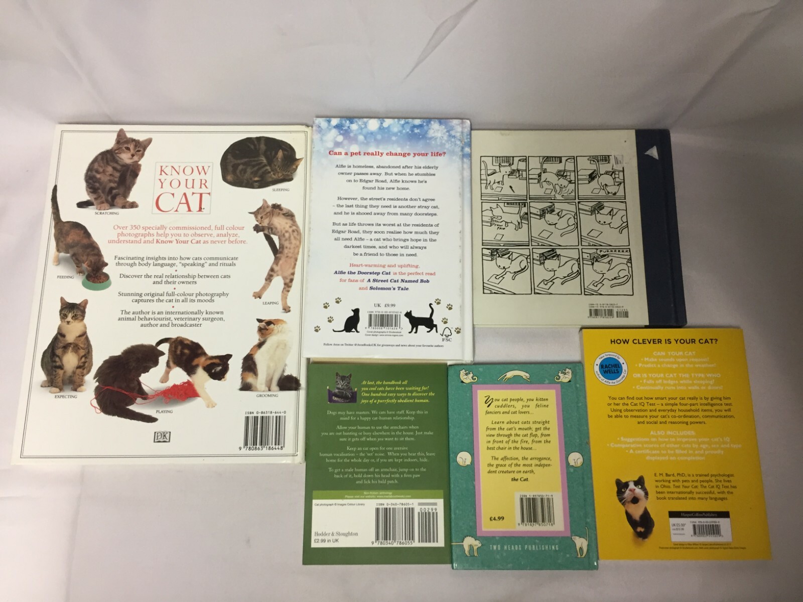6x Cat Books Know Your Cat Test Your Cat Alfie the Doorstep Cat ...
