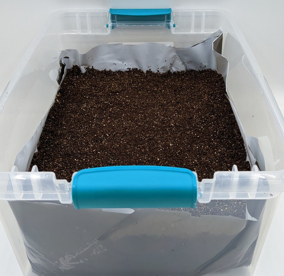 Simple Mushroom Monotub Grow Growing Starter Kit Grain Bags Substrate ...