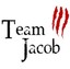 Team Jacob T-shirt Cool Twilight Movie 5 Colors S-3XL | eBay