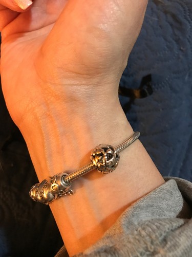 PANDORA Charm Sterling Silver & 14K Gold Family Forever for sale online ...