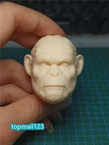 1:6 Head Sculpt Pouting Chimpanzee Animal Carved For 12" Male Action ...