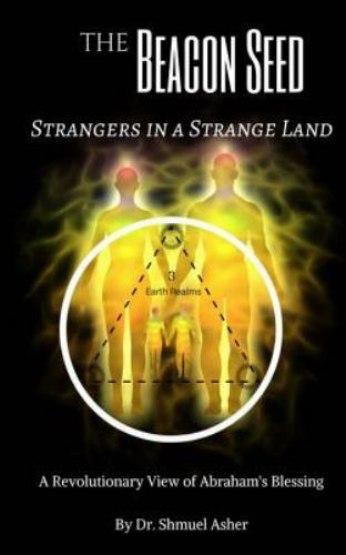 Beacon-seed : Stranger in a Strange Land, Paperback by Asher, Shmuel ...