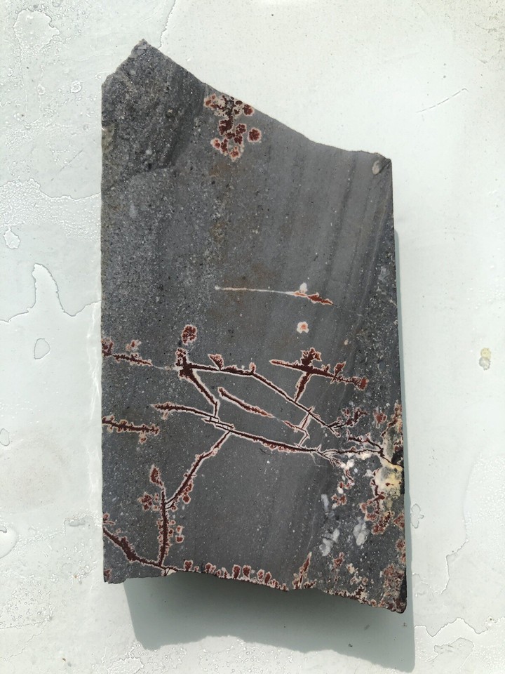 4 5/8” Sonoran Dendritic Jasper Slab Rough Lapidary Cabbing Rock ...