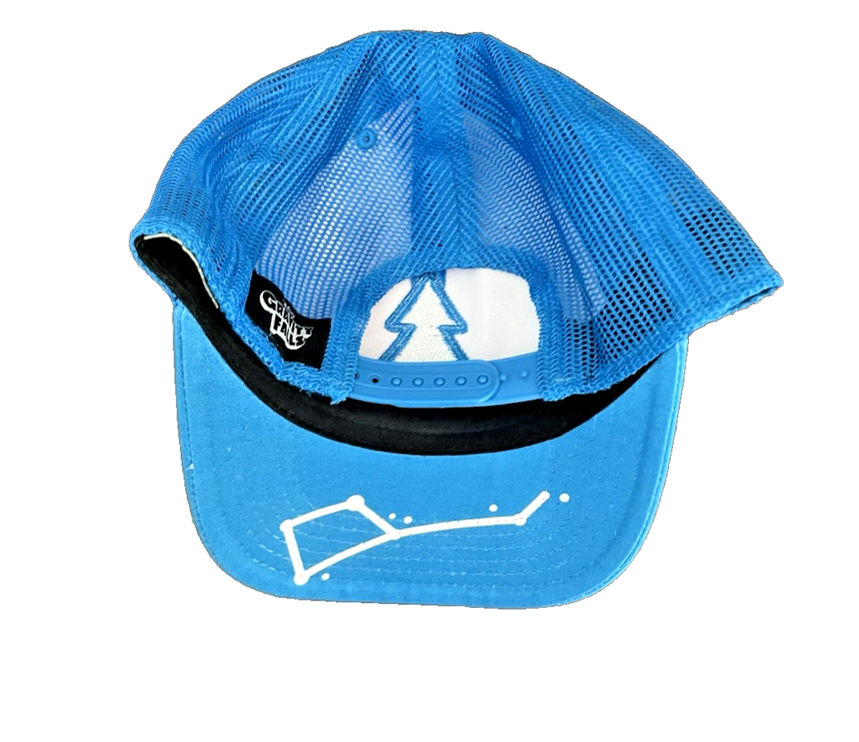 Dipper Aqua Pine Flat Hat Unisex Adult Gravity Falls Cap Gravity Falls ...