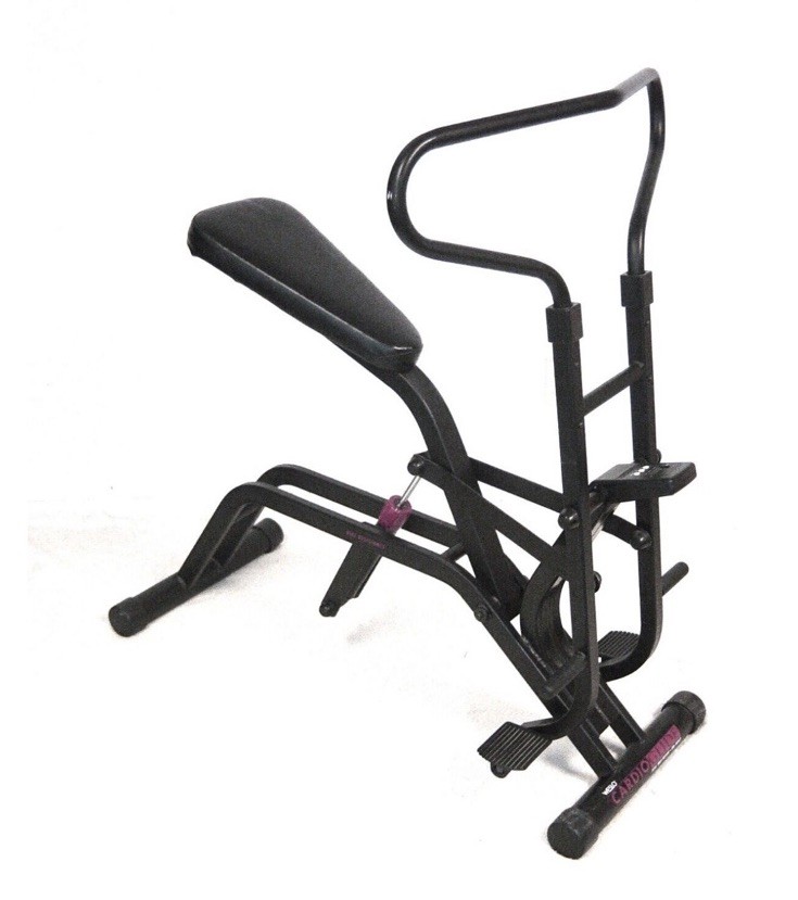 Lifestyler Cardio Fit Glider Total Fitness Rider Exercise Ab Machine ...