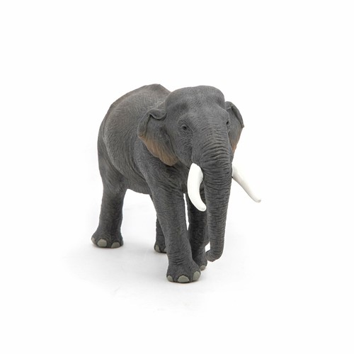 Papo Asian Elephant Toy Figure | eBay
