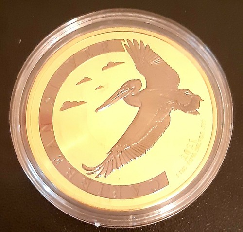 Barbades-1 dollar 2021 Caribbean Silver " Pelican Gold Space " - 1 oz ...