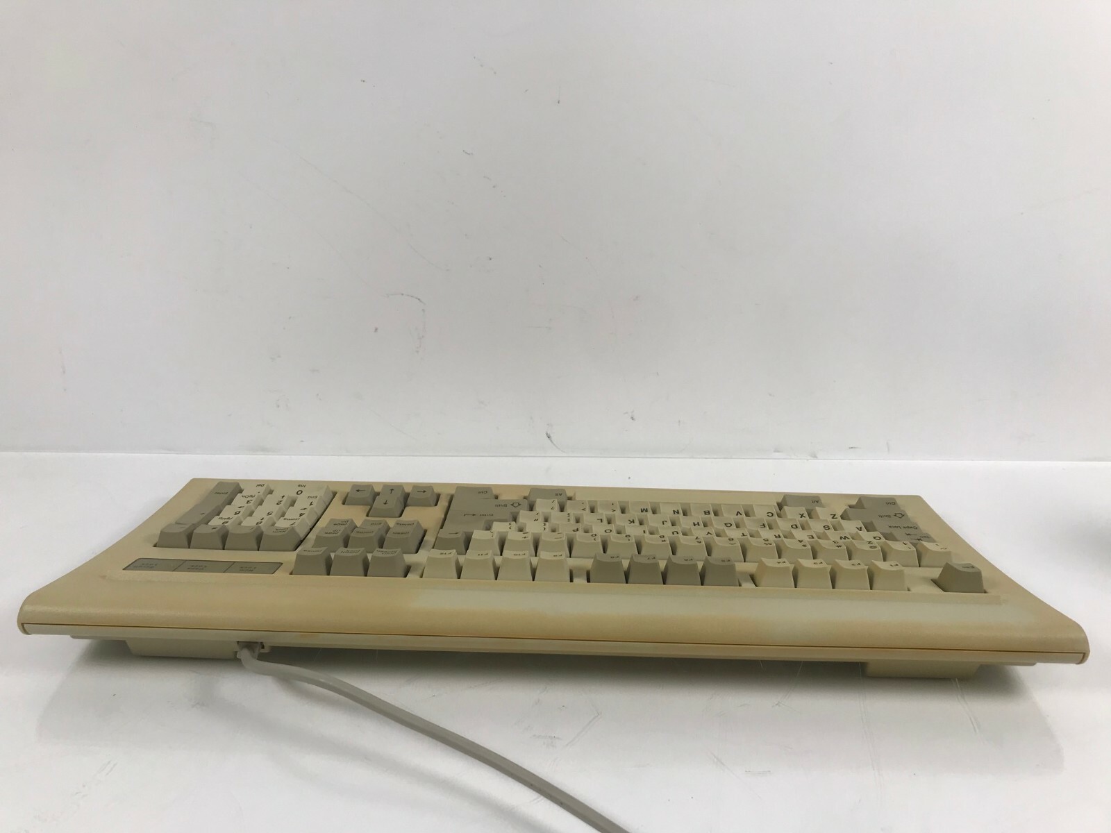 Pristine+Vintage+Chicony+KB-5161A+Mechanical+Keyboard+Mitsumi+mount+on ...