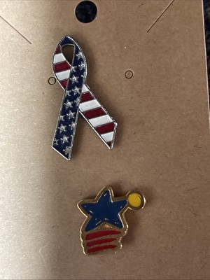 2 Friendship Flag Pins USA Bike Motorcycle lapel Pins O-12 | eBay