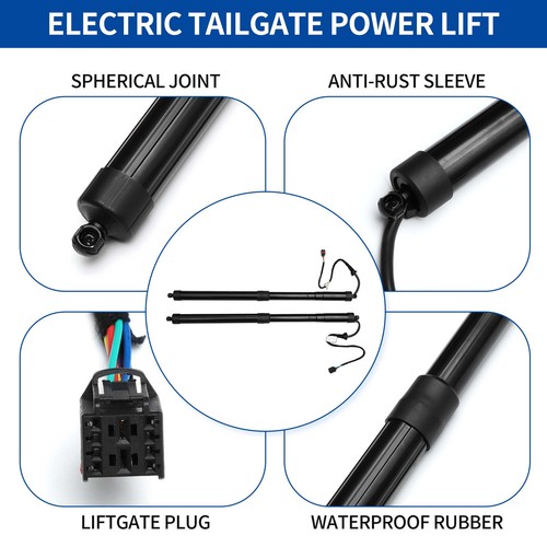 Pack of (2) Rear Lift Gate Struts with Power Liftgate for Volkswagen ...