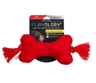 Playology Dual Layer Bone Dog Toy All-Natural Beef Scent, Puppy | eBay