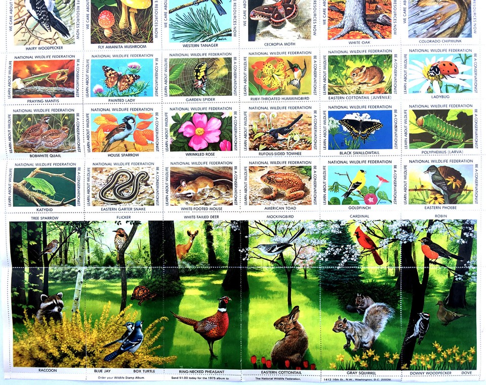 1975 National Wildlife Federation Stamp Sheet MINT CONDITION, (LARGE ...