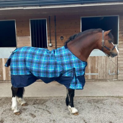 SHELDON 50G WATERPROOF TURNOUT RUG - GENEROUS FIT FREE POSTAGE- 6ft9 ...