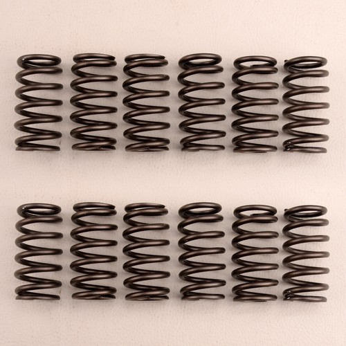 Car High RPM Valve Spring Fit for DCEC Cummins 60# Pound 89-98 5.9 2500 ...