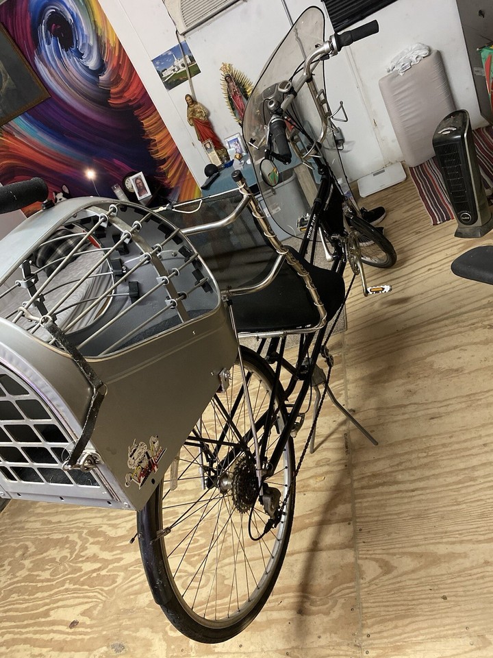 Rare Tour Easy Racers Recumbent Bike Bicycle | eBay