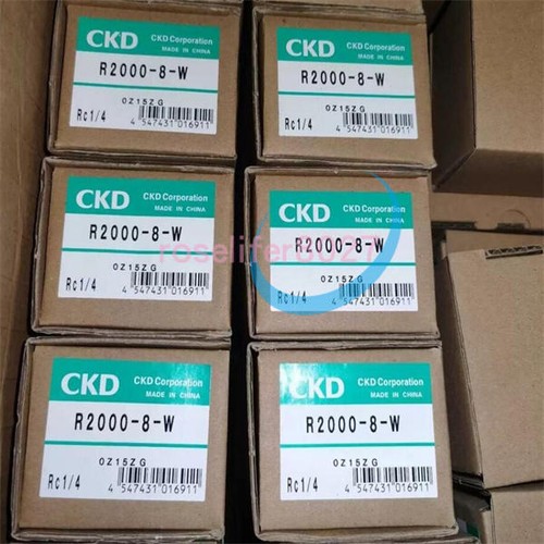 1pcs CKD R2000-8-W pressure reducing valve | Achetez sur eBay