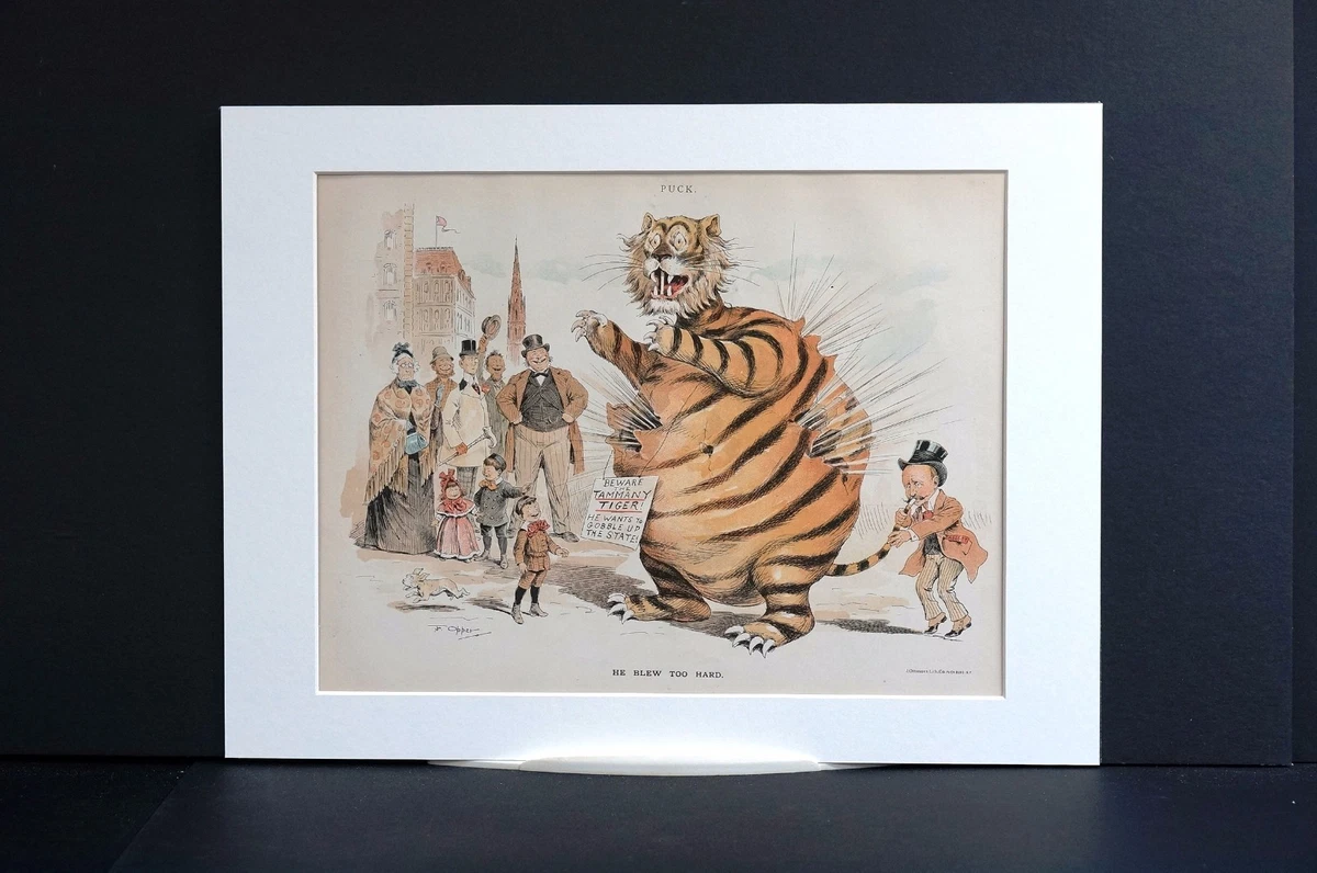 Tammany Hall Tiger