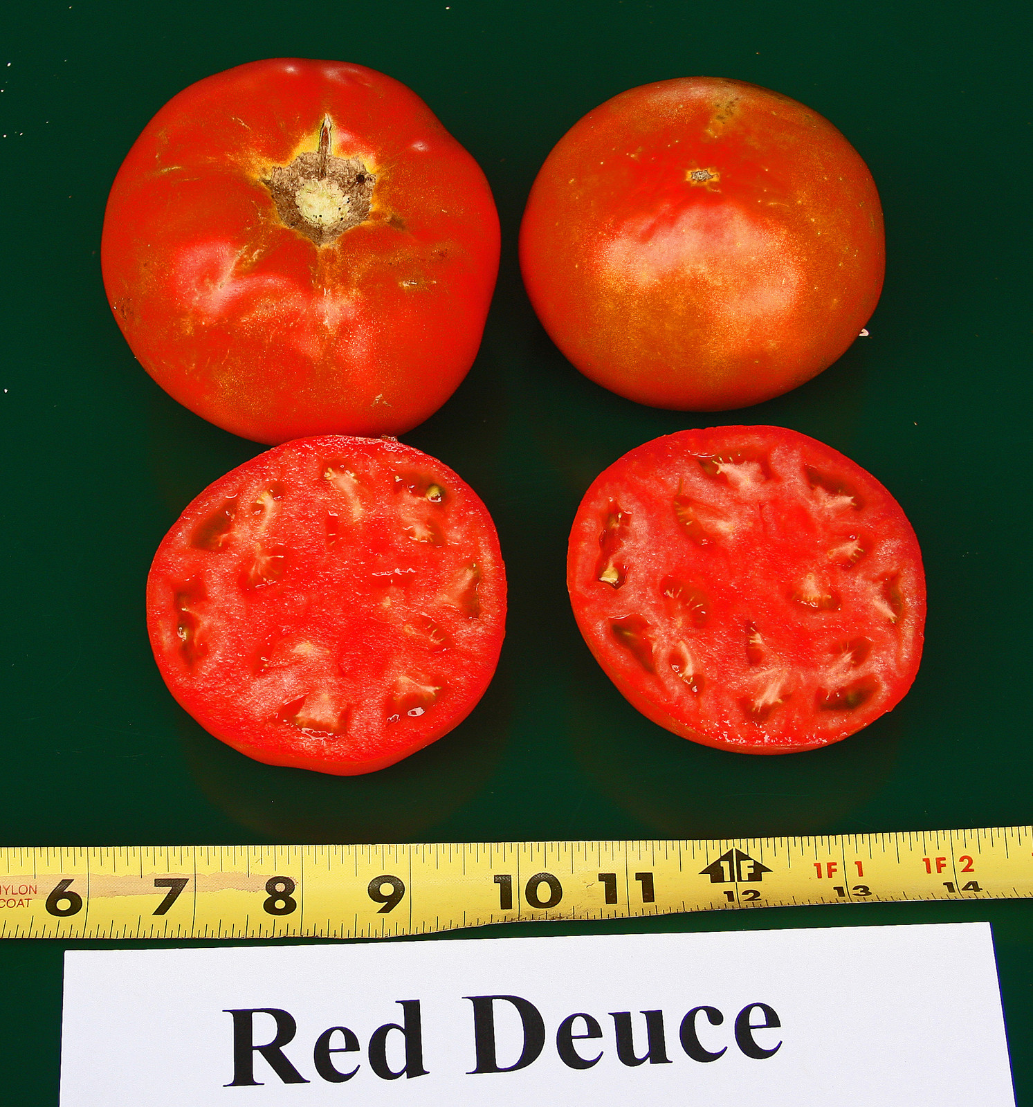 Tomato Seeds - RED DEUCE VFF/TMV - Hybrid Bush Tomato Variety - 25 ...