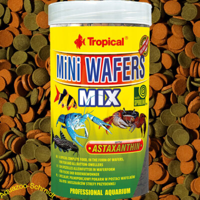 Tropical MINI WAFER MIX Bottom feeding Fish food Cory Pleco Loach Algae ...