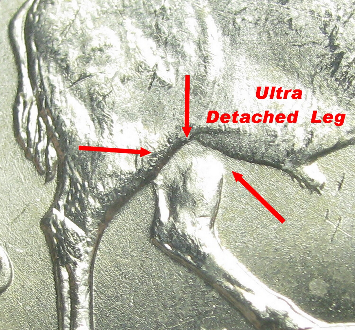 ERROR 2005-P ULTRA Detached Leg Bison Jeff Nickel - 5c-Straight from ...