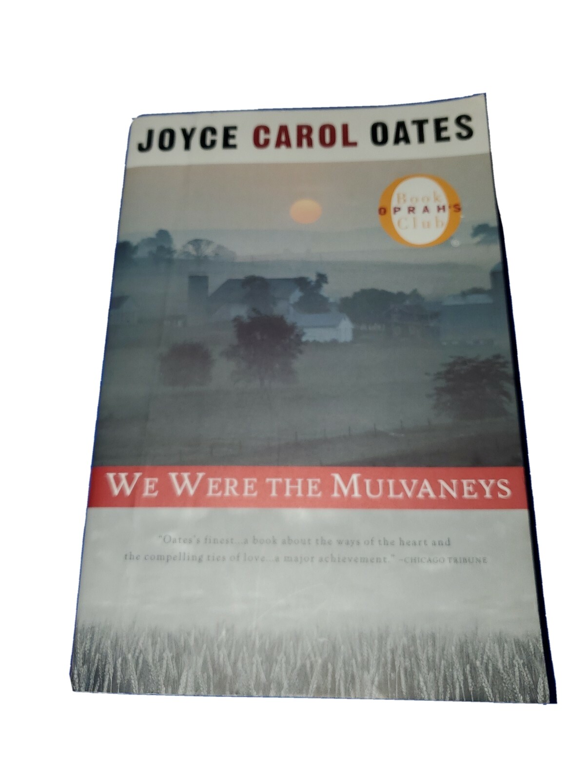 We Were the Mulvaneys (Oprah's Book Club) by Joyce Carol Oates ...