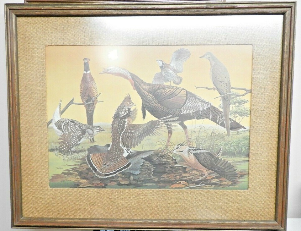 Ray Harm Framed Signed Art Print 'Wild Birds" | eBay