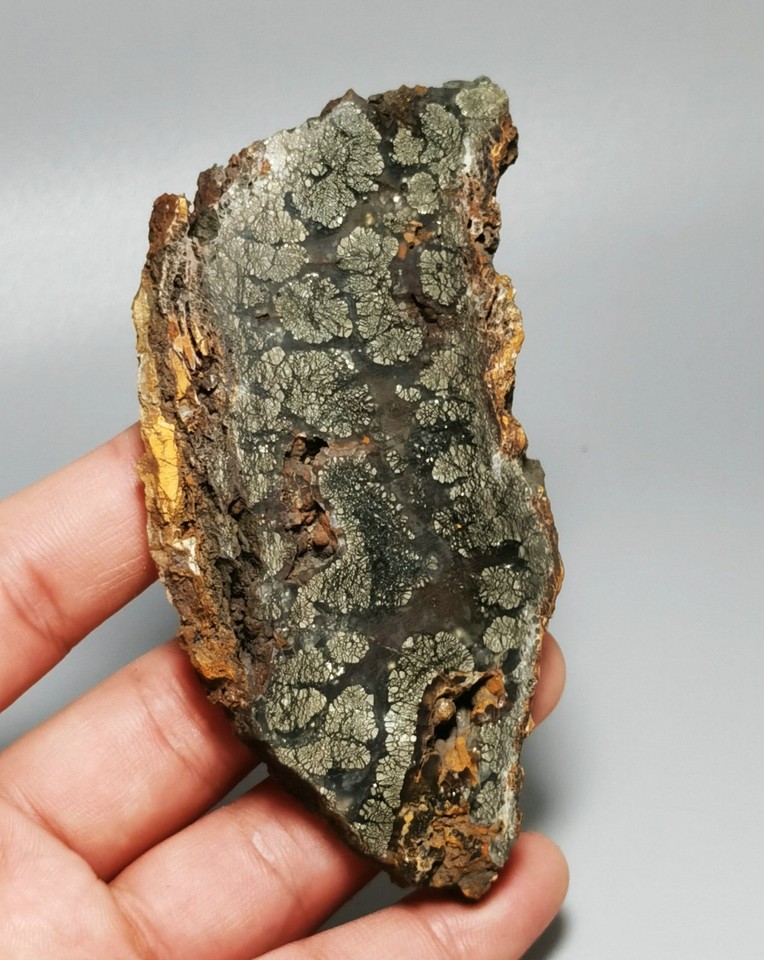New Find Beauty Pyrite Flower Grow With Agate Freeform Reiki Healing | eBay