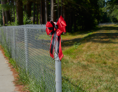Firefighter Drawings Ribbon Sanford Fire Department 150th Celebratory