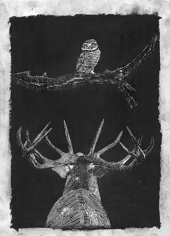 Matteo Chiarini Felix Salten Luca Raffaelli Simon Bambi. Storia di ...