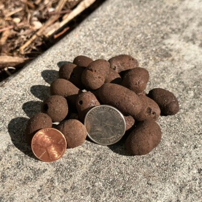 5LBS Expanded Clay rocks Grow Media for Hydroponic and Aquaponic ...
