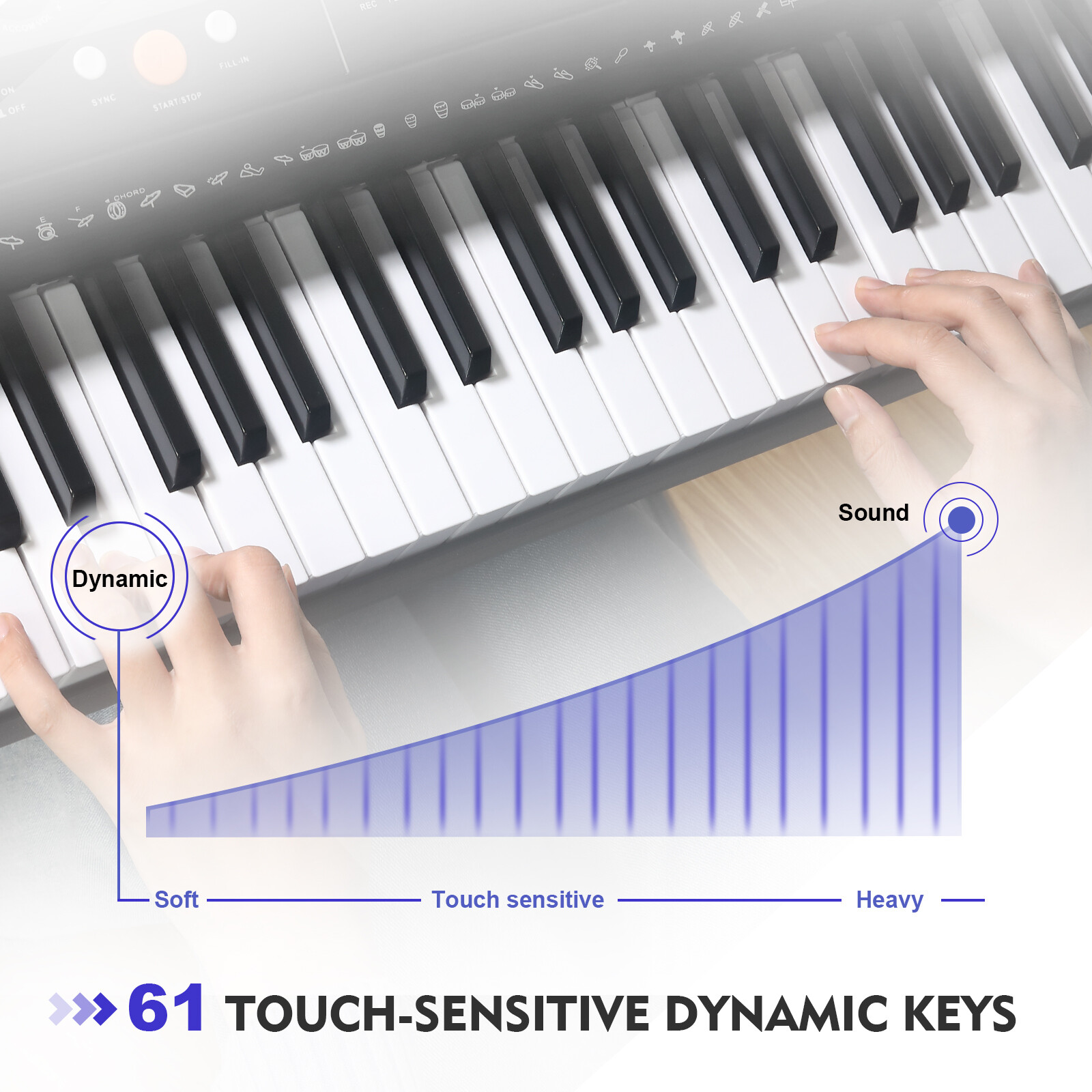 ♬61 Full Size Weighted Keys Electronic Keyboard Digital Piano LCD ...