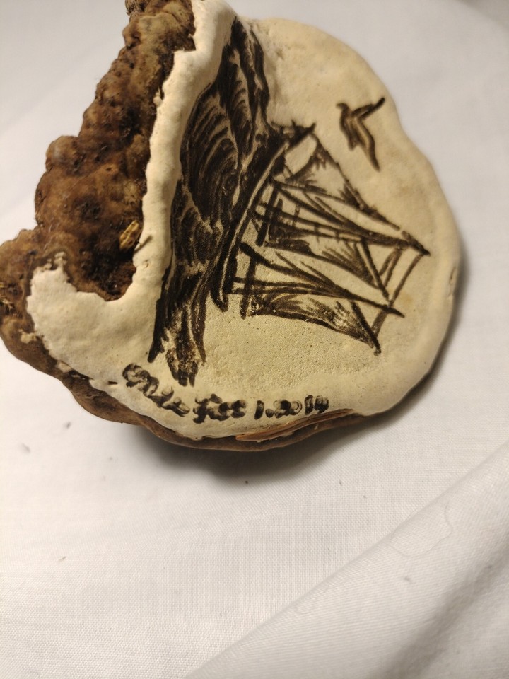 Hand Painted Fungus Tree Conk Folk Art Ship At Sea Signed And Dated | eBay