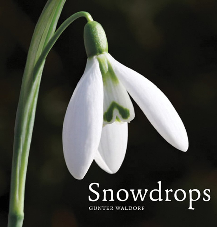 Snowdrops 9780711233850 | eBay