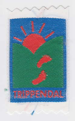 SCOUTS OF DENMARK - DANISH DGSA (MIXED) TRIPPENDAL SCOUT BADGE ...